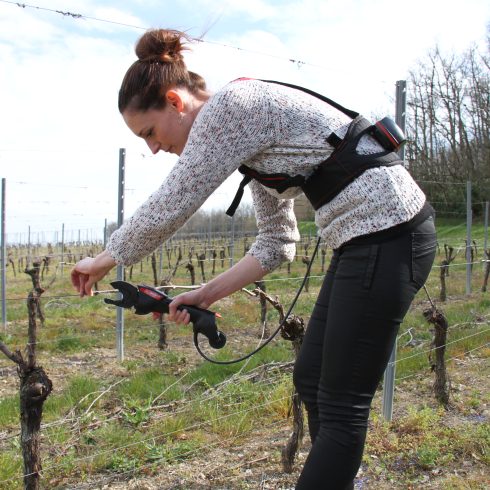 Tying machine photos - Infaco