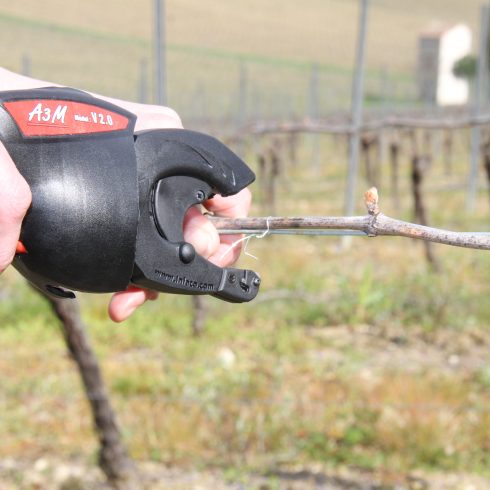 Tying machine photos - Infaco