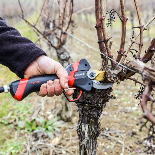Photos - sécateur F3020-photos sécateur électrique professionnel INFACO