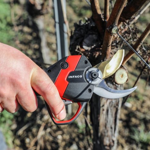 INFACO's 10 tips for a successful pruning season!
