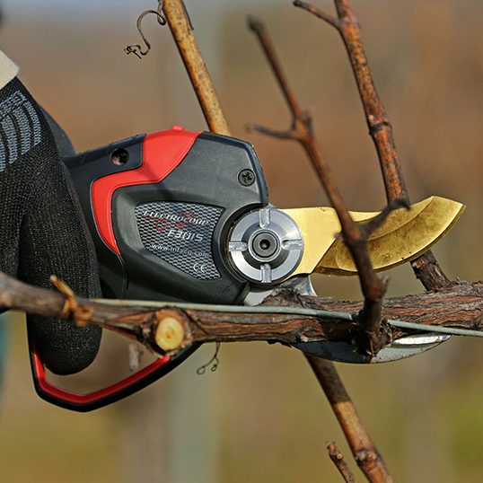 Le sécateur électrique INFACO ELECTROCOUP F3015, une référence