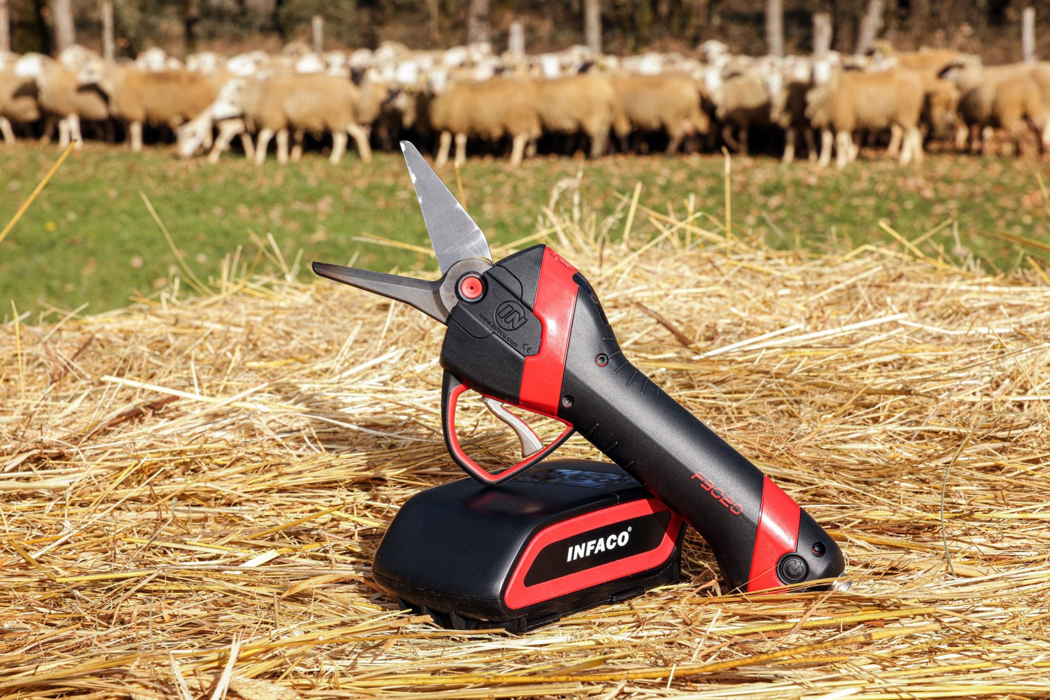 Garantir un parage efficace avec un sécateur électrique professionnel