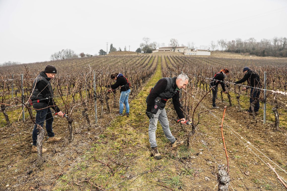 Our Connected Pruning Management Solutions - F3020 Pruner INFACO