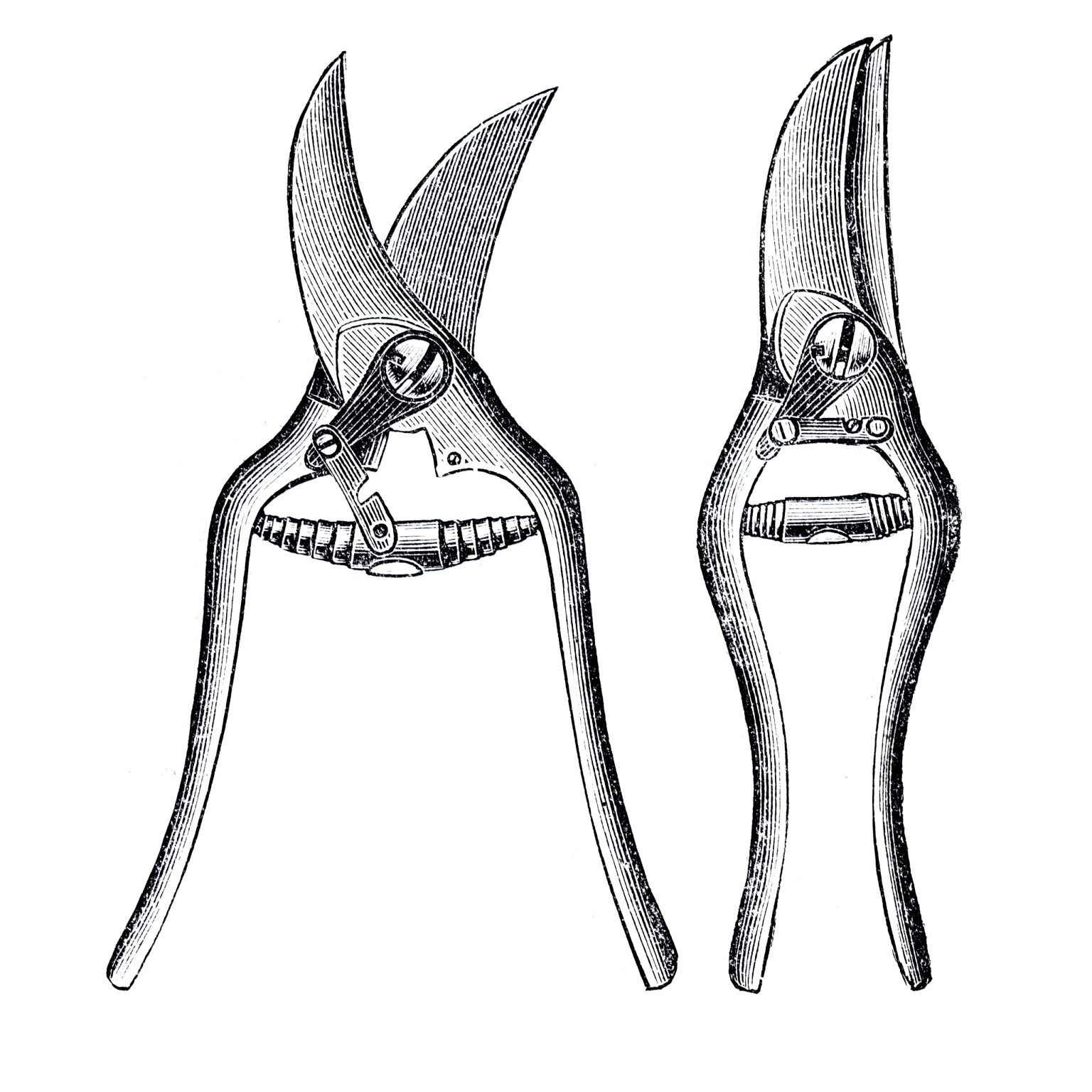 The short history of pruning shears - Infaco