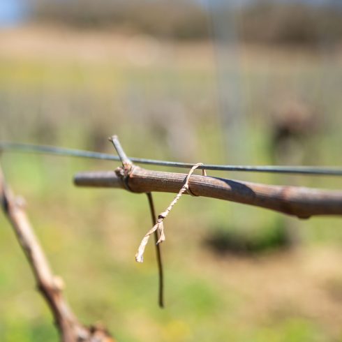 Tying machine photos - Infaco French manufacturer of portable power tools