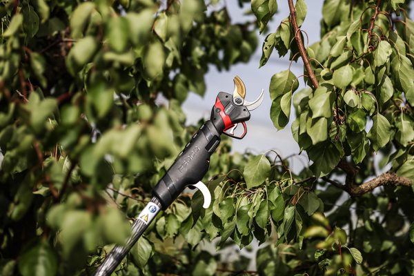 Options et accessoires - Infaco