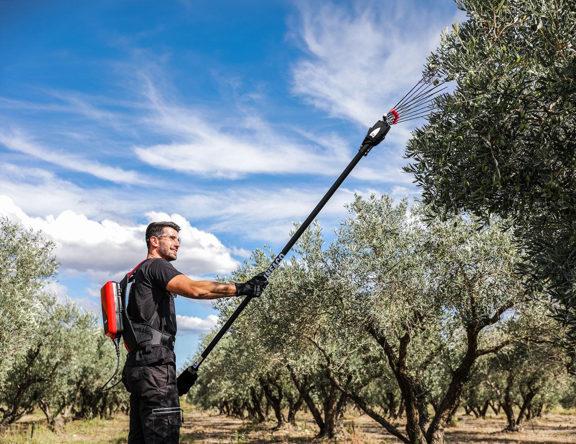 Olive harvester V5000 Electroliv - Infaco